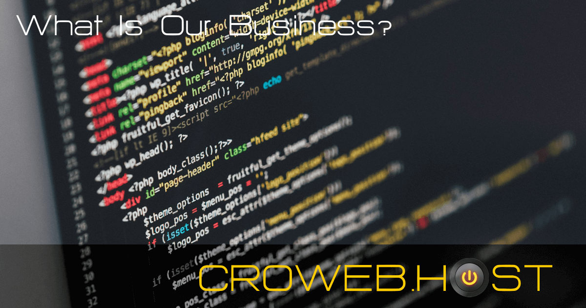 Croatian Web Hosting | What is our business?
